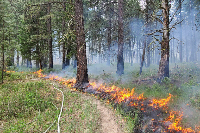 Find ideas for fire-resistant landscaping - Kittitas Fire Adapted ...