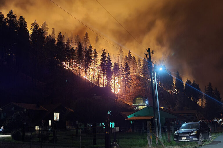 Read about recovery after a wildfire - Kittitas Fire Adapted ...